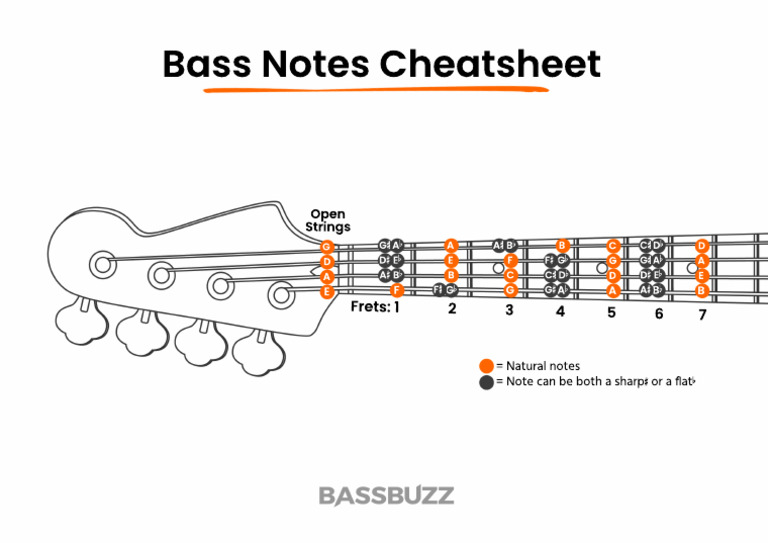 BassBuzz Bass Fretboard Notes Cheatsheet | PDF