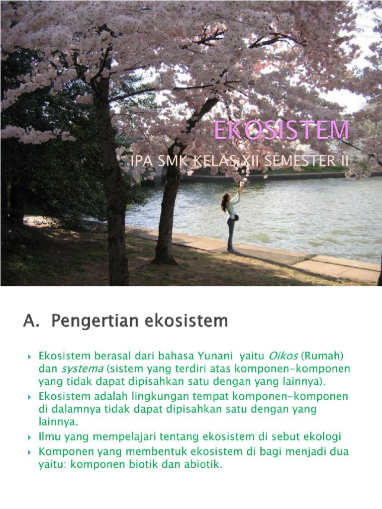 MATERI EKOSISTEM | PDF