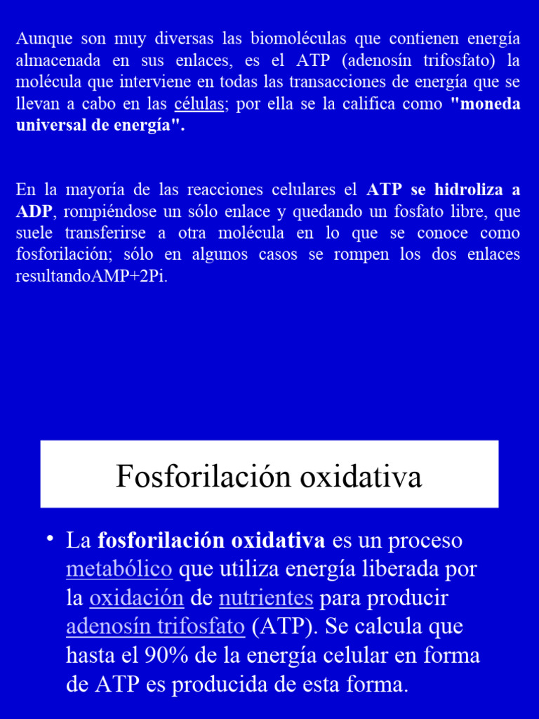 Producción de ATP y Quimiosmosis en Células | PDF | Ciencia y matemáticas