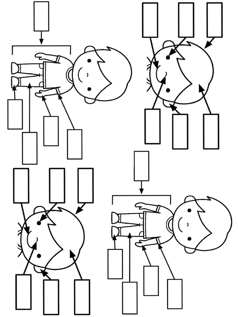 PARTS OF THE BODY 2°YEAR | PDF