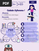 SESIÓN 11 Cuarta Fase PAE-ejecucion | PDF | Enfermería | Cuidado de la salud