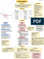 Fármacos Nefrotóxicos y su Manejo | PDF | Tratamientos médicos | Medicina