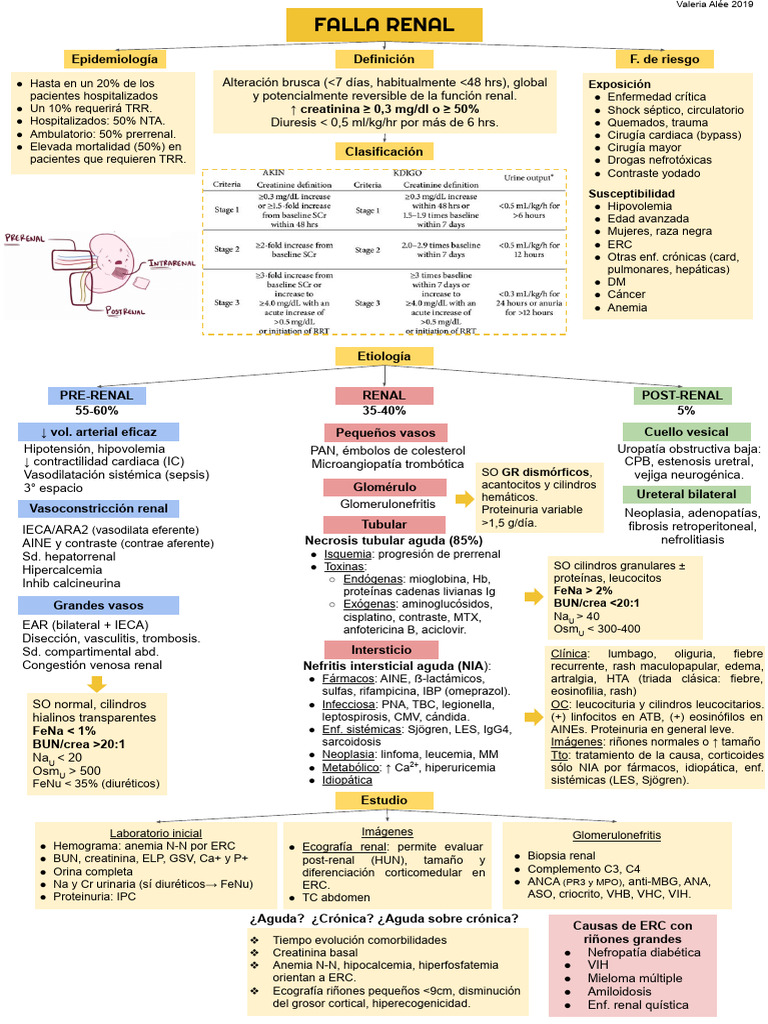 Falla Renal Aguda | PDF | Medicina CLINICA | Medicina