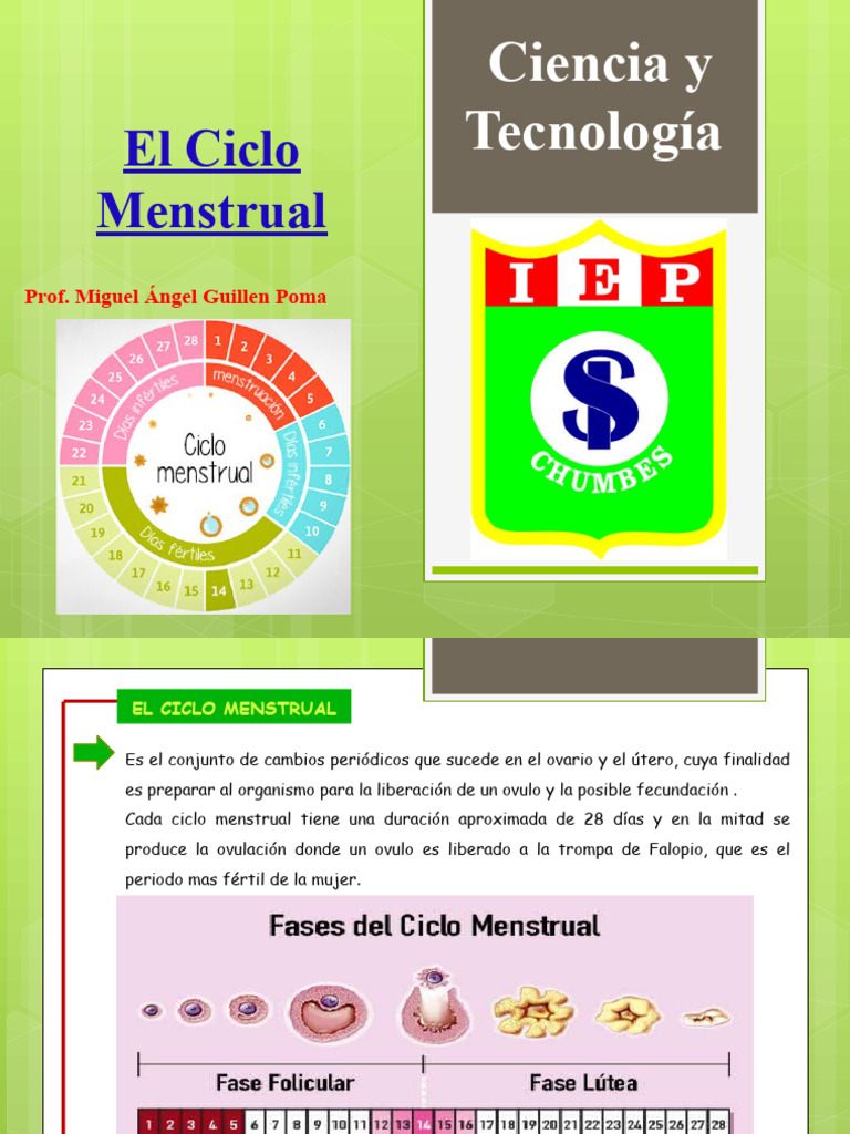 Ciclo Menstrual | PDF