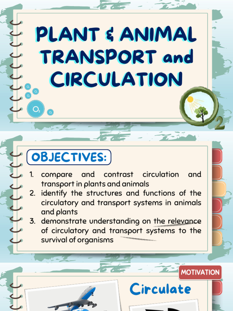 Plant and Animal Transport Systems | PDF | Blood | Heart