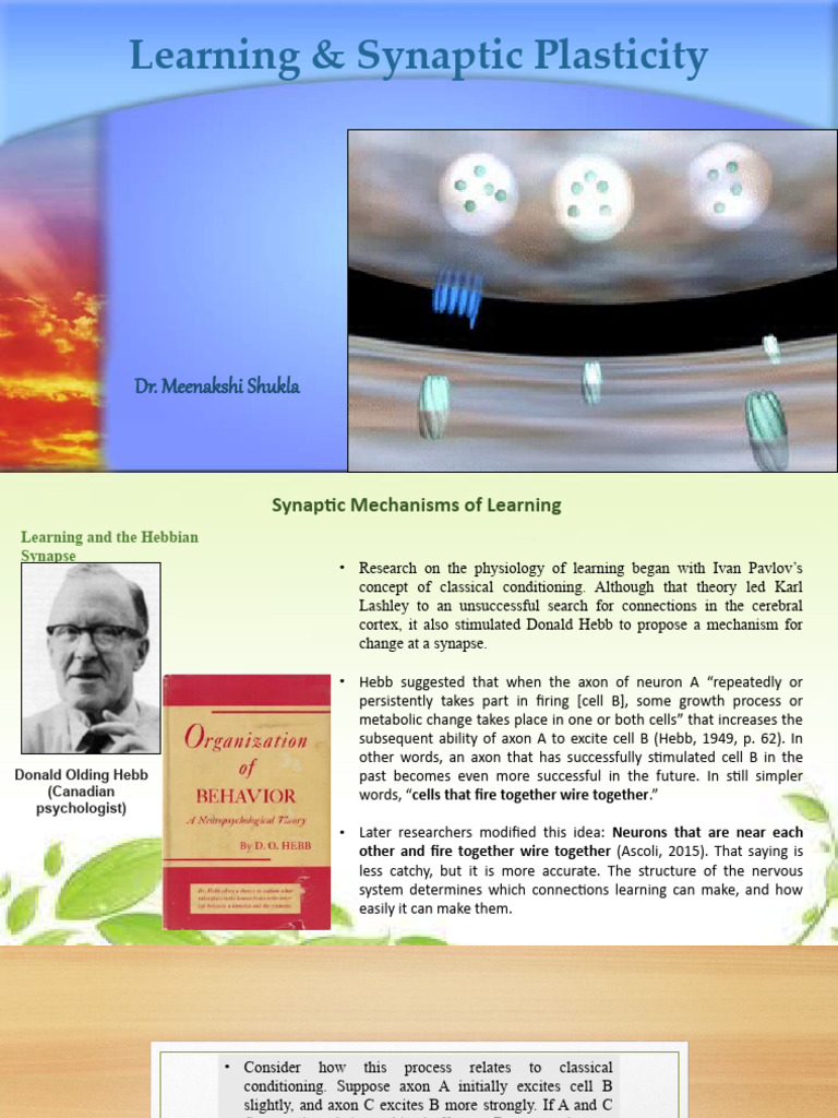 Learning & Synaptic Plasticity | PDF | Long Term Potentiation | Chemical Synapse