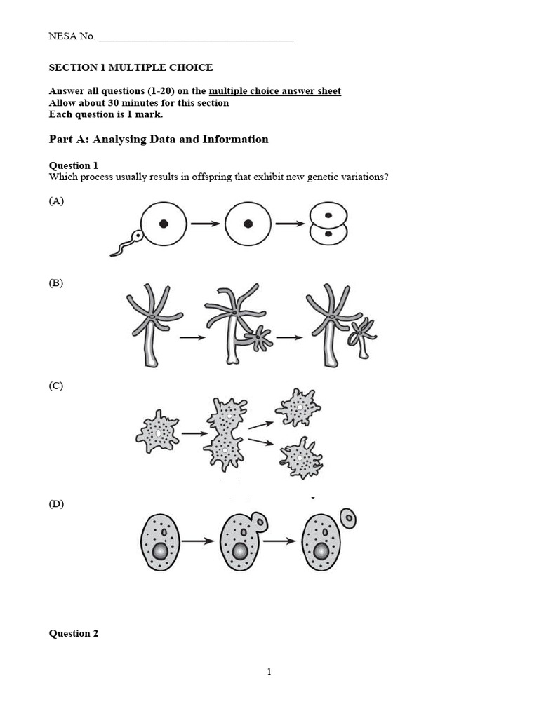 Practice Paper 2023 Task 1 | PDF | Reproduction | Genetics