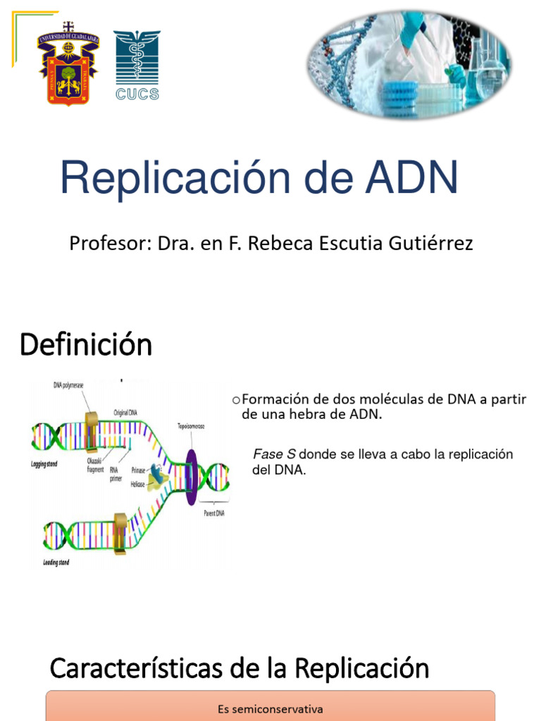 Unidad 4. Replicaci-N. BM 2024A | PDF | Replicación De Adn | Adn