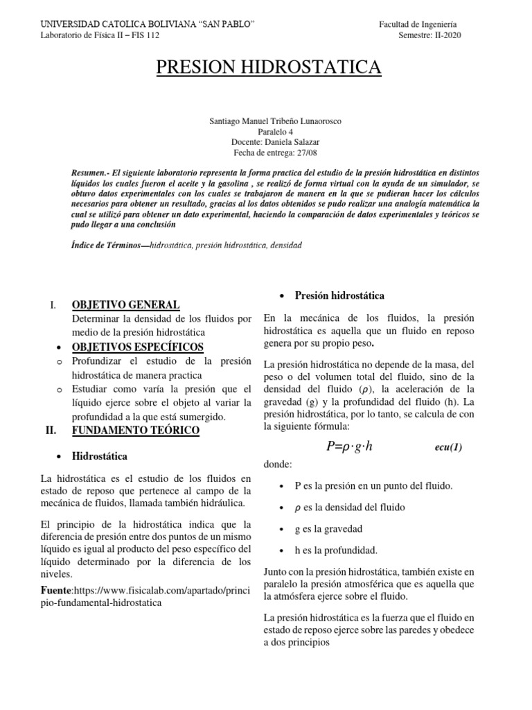 Presion Hidrostatica | PDF | Densidad | Presión
