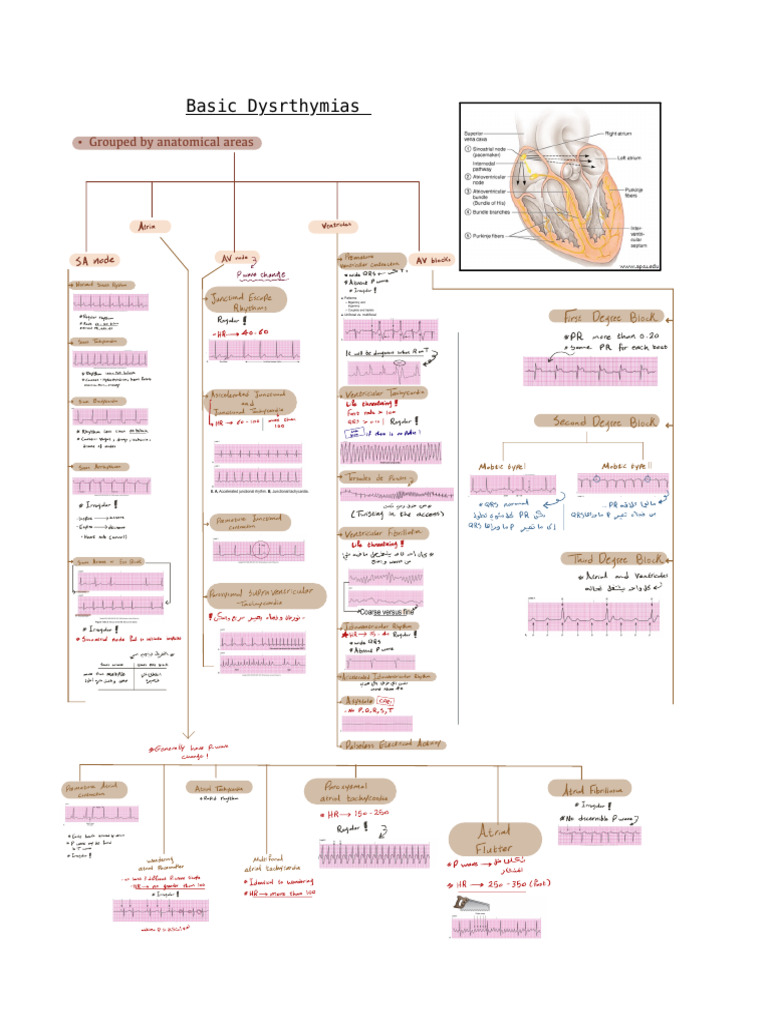 Note ECG | PDF | Cardiology | Electrophysiology