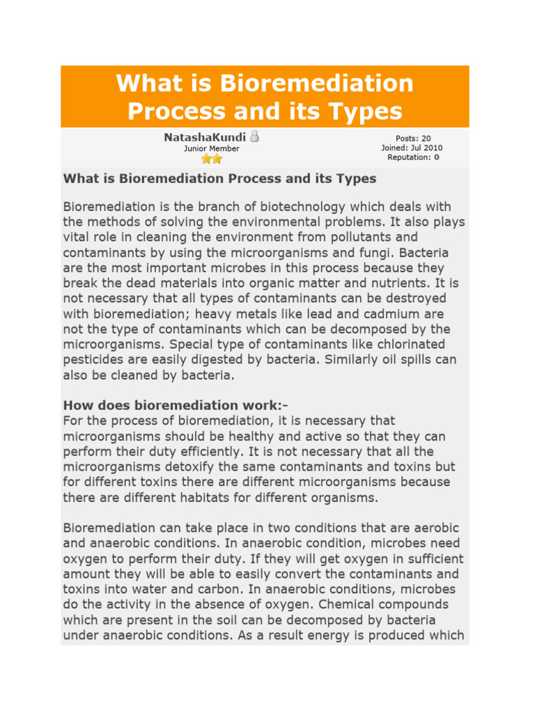 What Is Bioremediation Process and Its Types | PDF | Anaerobic ...