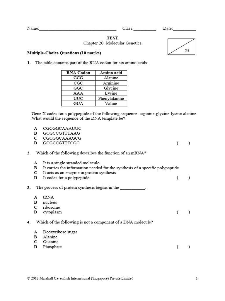 BM Test C20 SE | PDF | Translation (Biology) | Dna