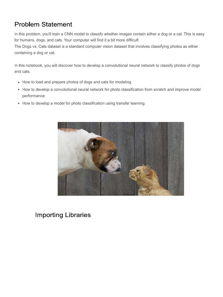 Image Classification Using CNN & Transfer Learning - PTBR | PDF