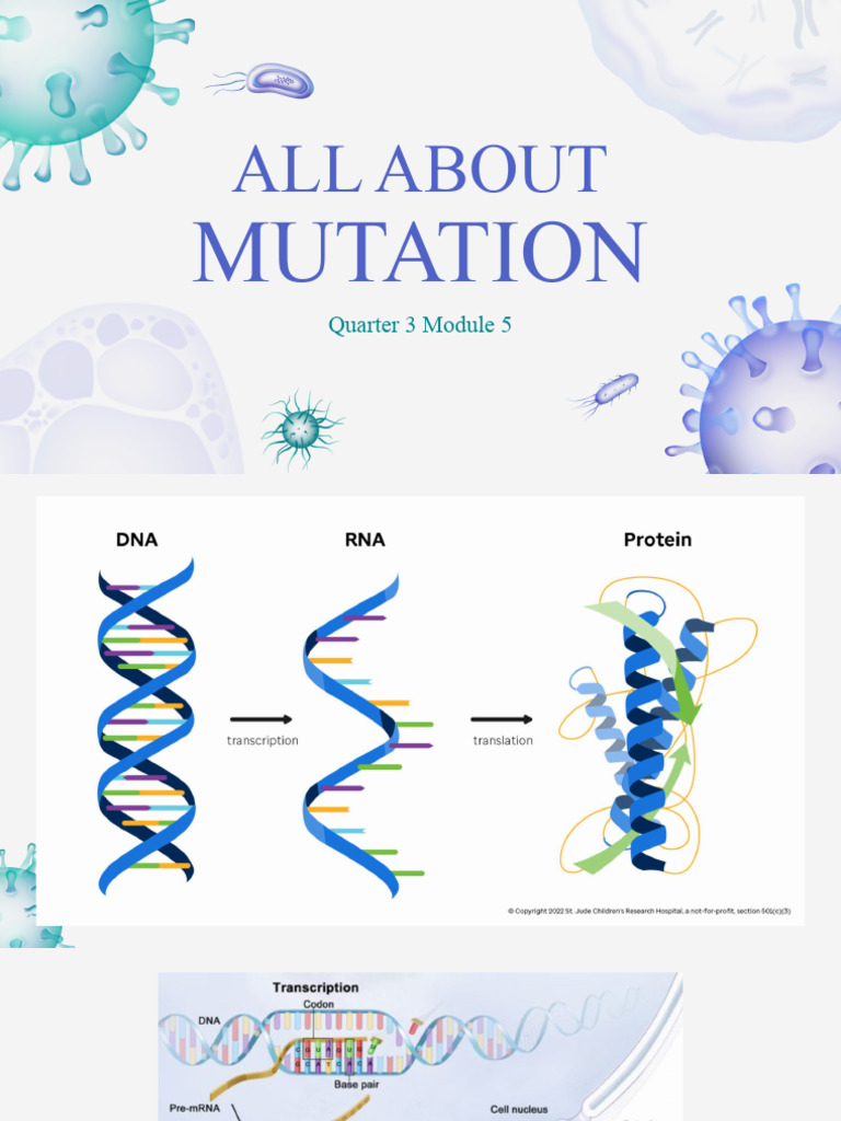 Mutations 1 | PDF | Genetic Disorder | Mutation