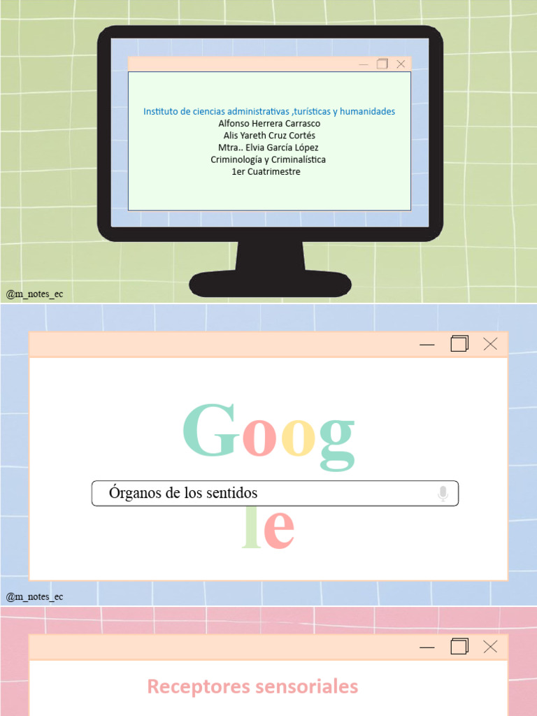 Órganos de los Sentidos: Estructura y Función | PDF | Ojo humano | Ojo
