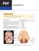 Netter - Atlas of Human Anatomy | PDF | Abdomen | Pelvis