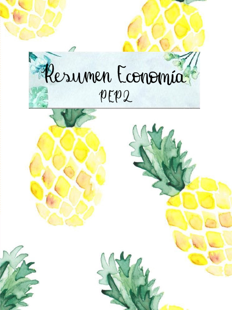 Resumen Econo Pep2 | PDF
