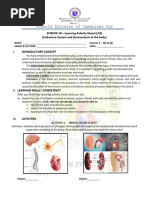 Endocrine System Worksheet and Riddles | PDF | Endocrine System ...