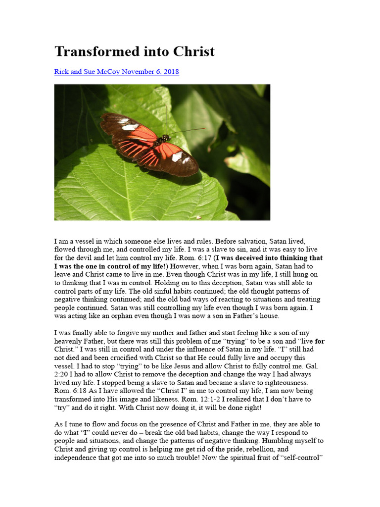 Transformed Into Christ | PDF