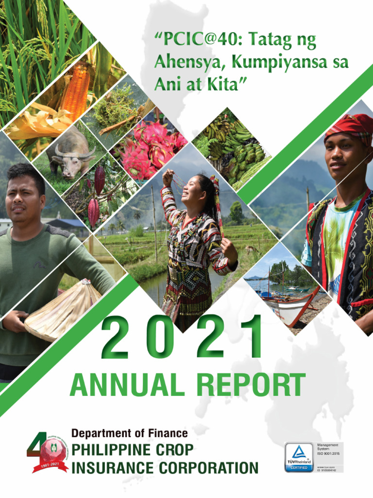 Annual Report 2021 | PDF