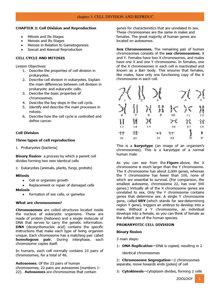 CHAPTER 3 Cell Division and Reproduction | PDF | Meiosis | Sexual ...