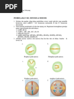 Proses Reproduksi Tumbuhan Aseksual dan Seksual | PDF | Ilmu Sosial