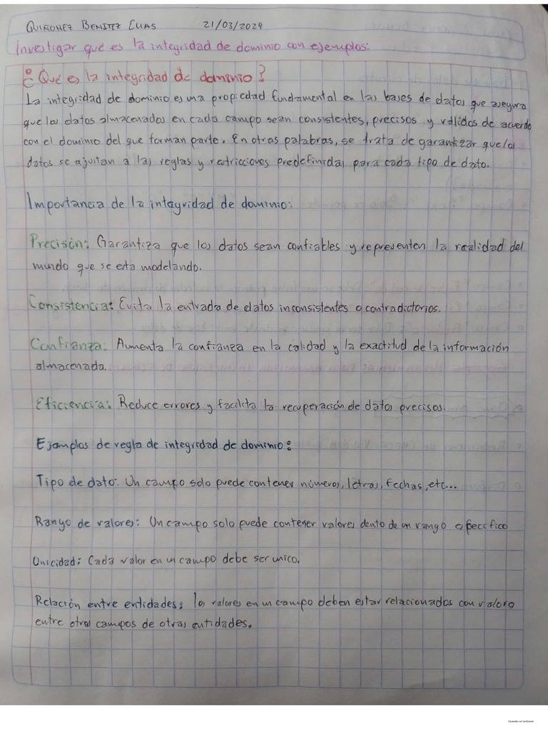 Tarea Integridad de Dominio | PDF