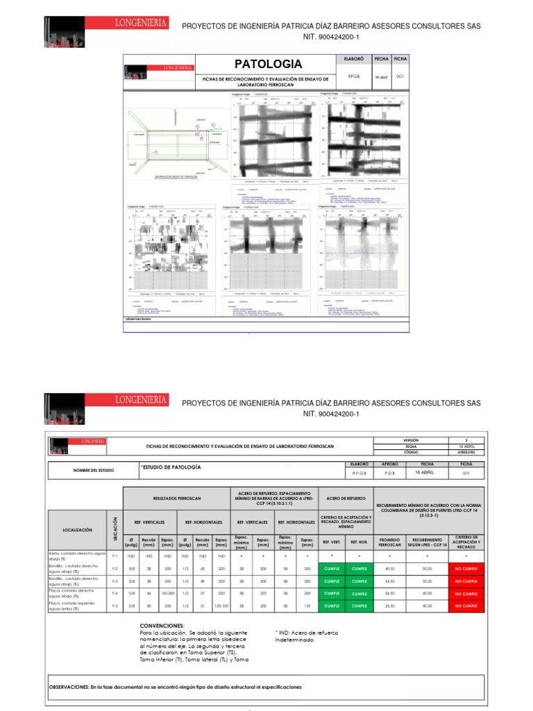 Ensayo Ferroscan | PDF