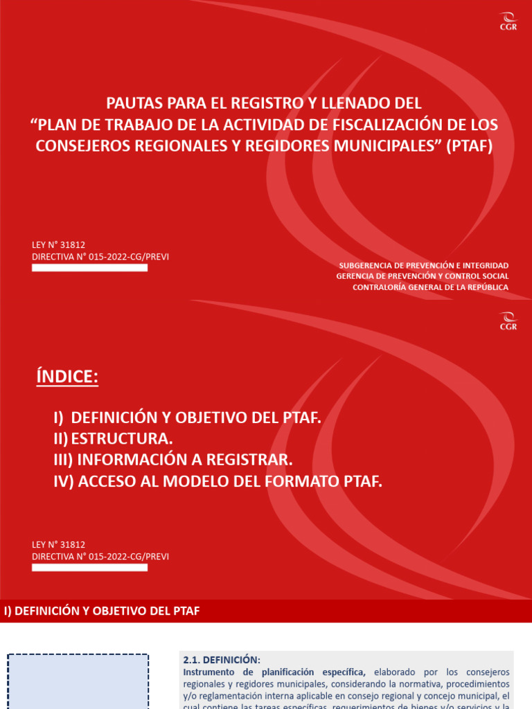 5362357 Pautas Para Registro Del Plan de Trabajo de La Actividad de Fiscalizacion Ptaf | PDF ...
