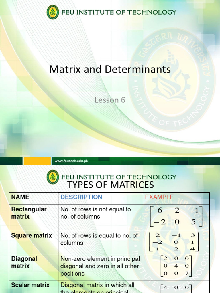 6 - Matrix and Determinants | PDF