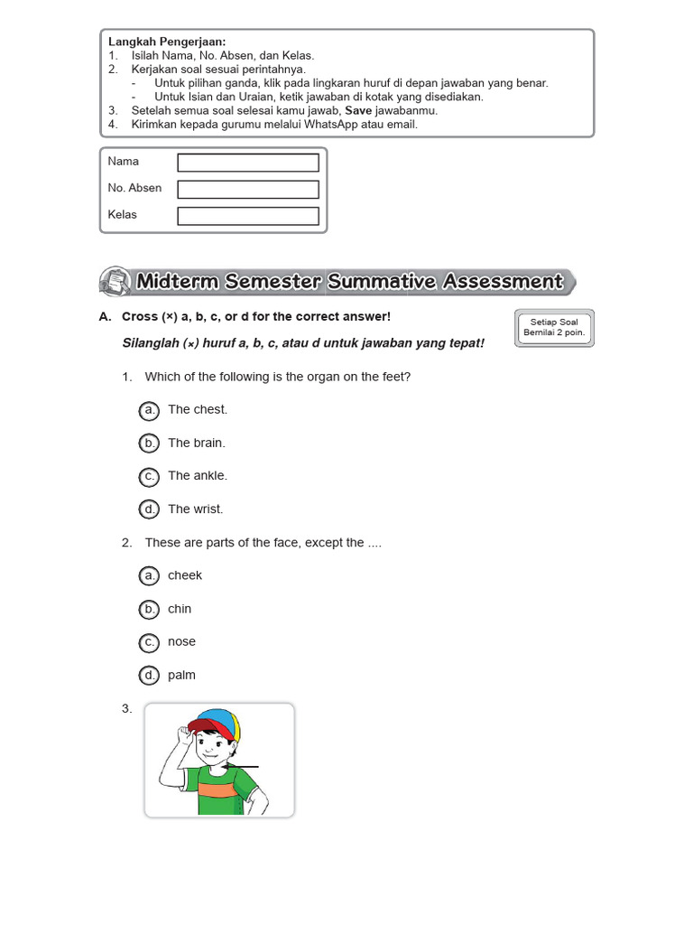 SD Bhs Inggris 5-2 Midterm Semester Summative Assessment | PDF | Human Anatomy | Anatomy