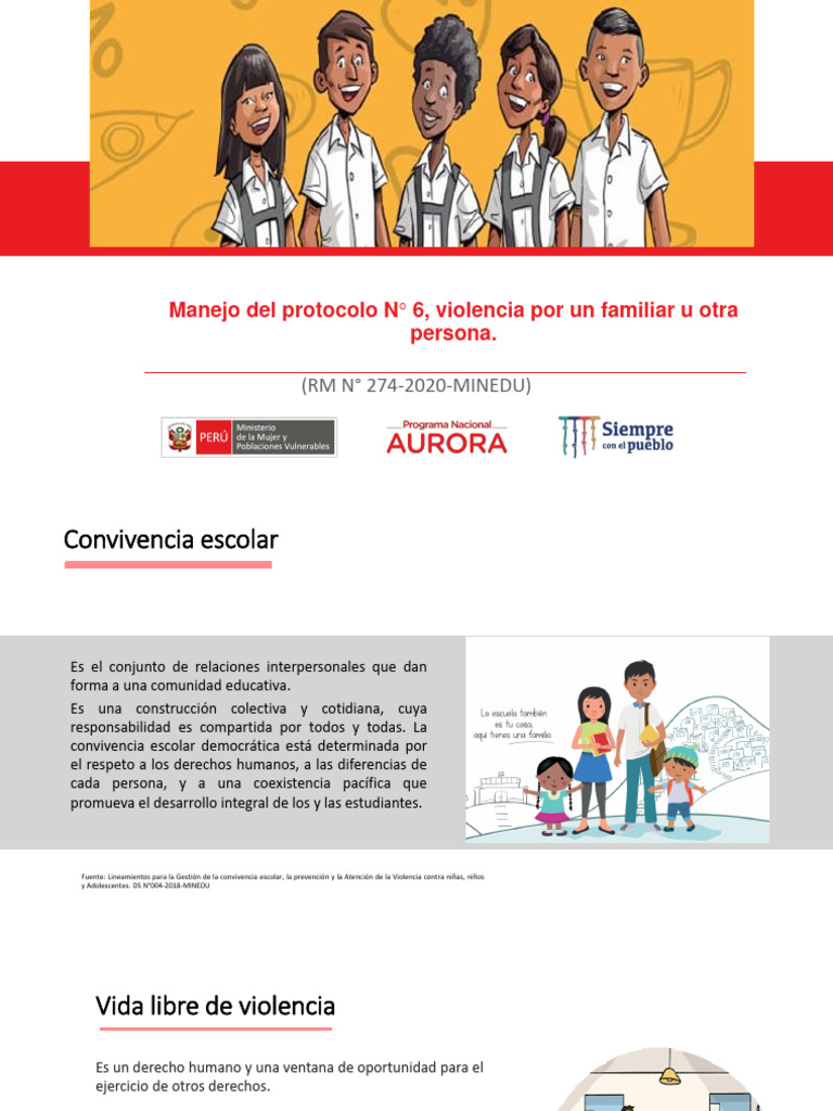 Manejo Del Protocolo N6 Violencia Por Un Familiar U Otra Persona | PDF | La violencia contra las ...