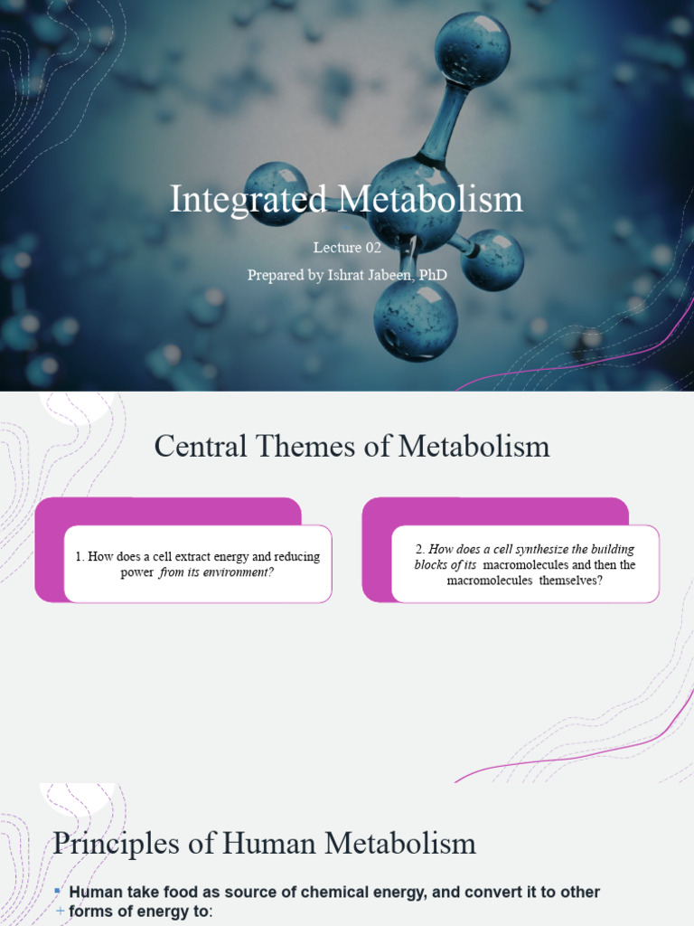 Integrated Metabolism Lec02 | PDF | Metabolic Pathway | Glycolysis