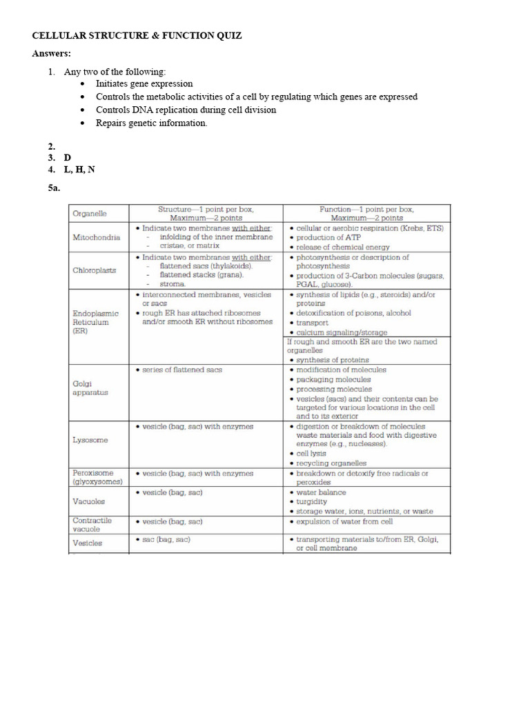 Quizzes Answers Term 1 | PDF | Cell (Biology) | Cell Membrane