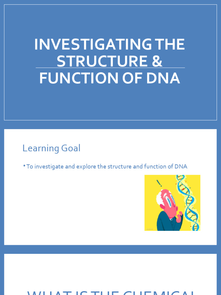 DNA Structure and Function Overview | PDF | Translation (Biology ...