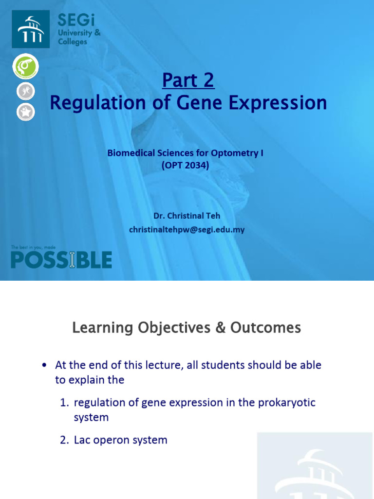 4.2 Gene Expression - CTPW | PDF