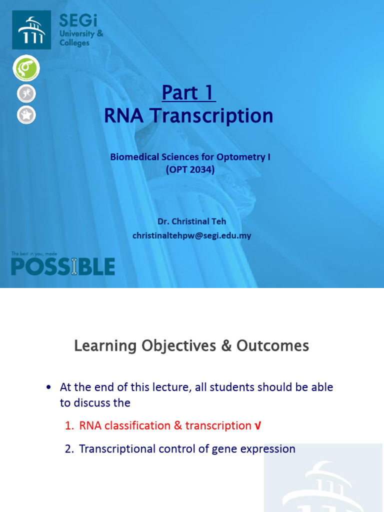 4.1 RNA Transcription - CTPW | PDF