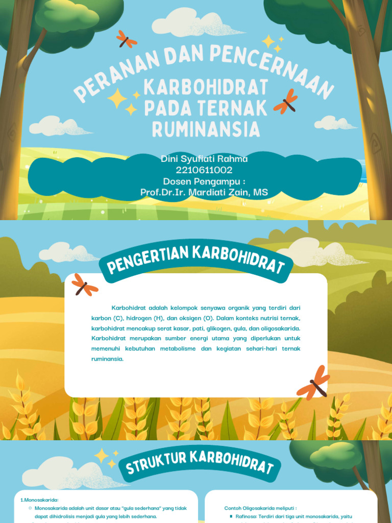 Dini Syufiati Rahma | PDF