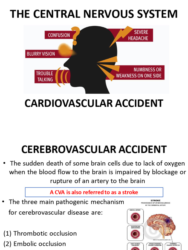 The CNS CVA | Download Free PDF | Stroke | Thrombosis