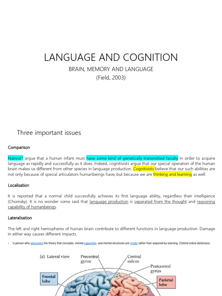 Brains, Memory, and Language | PDF