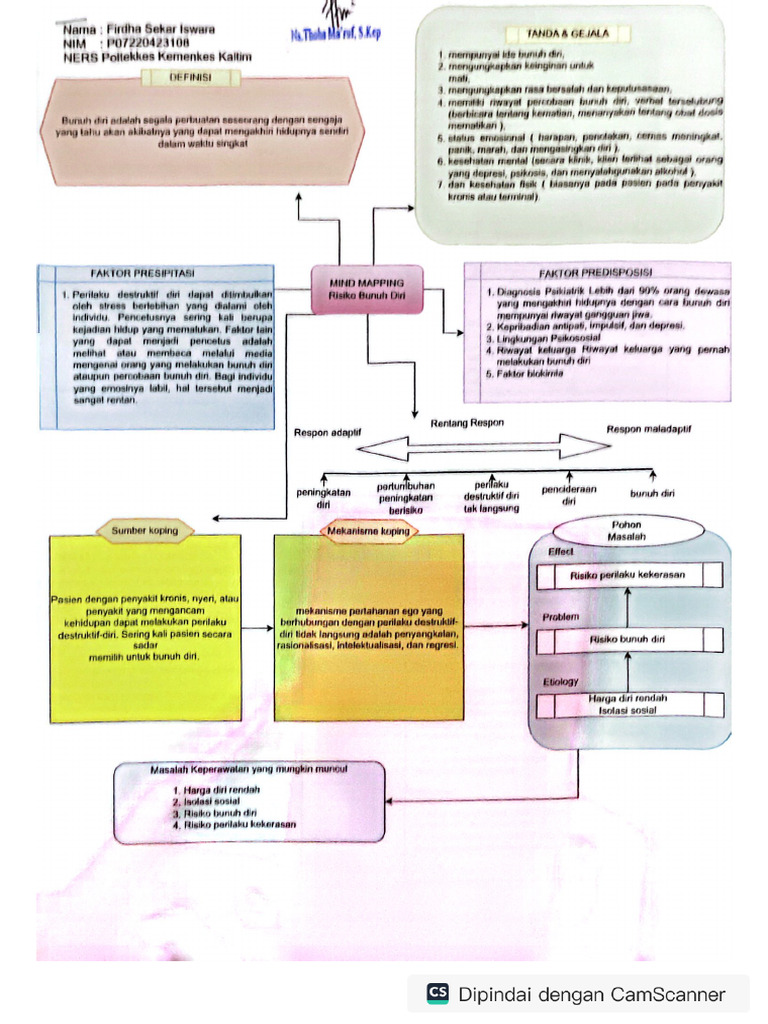 Mind Map RBD | PDF
