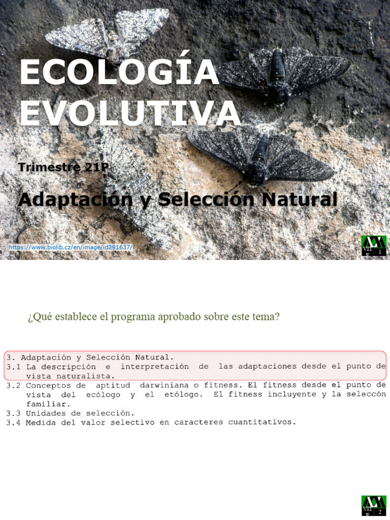 07 Ecologia Evolutiva 21p Seleccion | PDF
