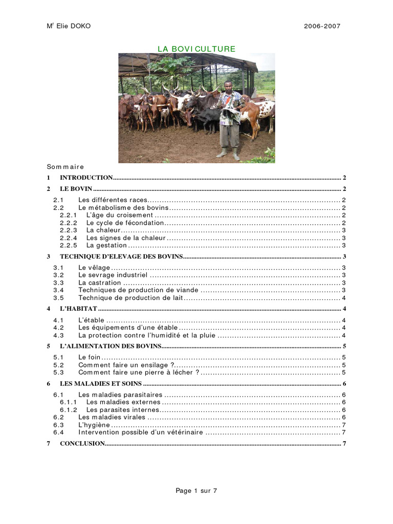 Techniques d'Élevage Bovin en RCA | PDF | Livres de cuisine, nourriture ...
