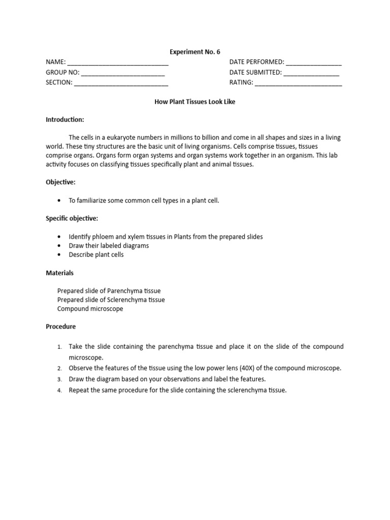 Experiment-on-tissues | PDF | Tissue (Biology) | Muscle