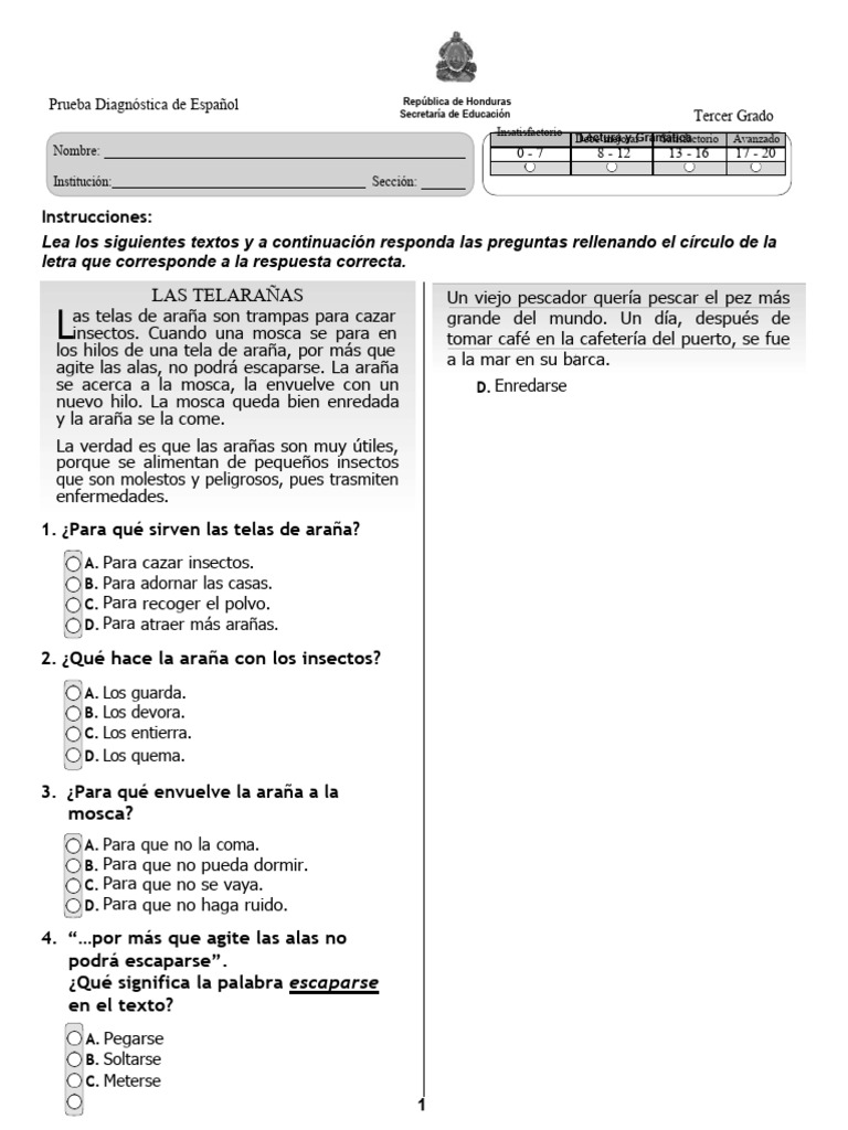 Resuelve la Prueba Diagnóstica 3º | PDF | Telaraña | Araña