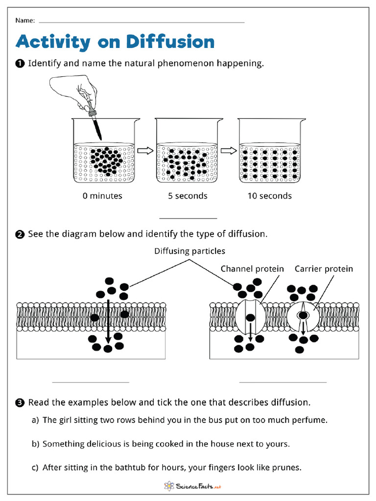 Activity On Diffusion | PDF