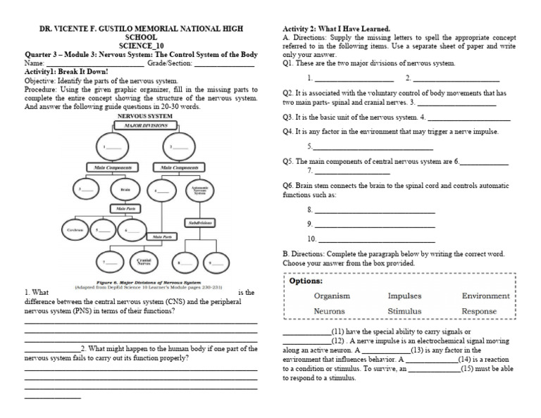 Nervous System Module for Grade 10 | PDF | Nervous System | Central ...