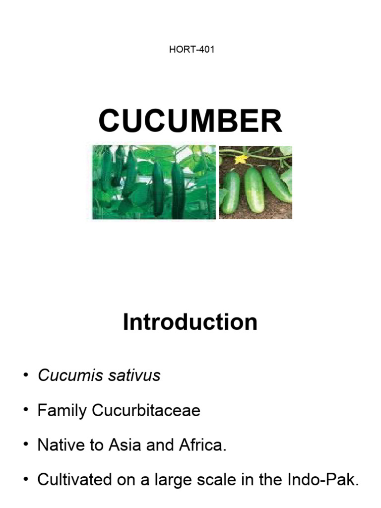 Cucumber | PDF | Cucumber | Sowing
