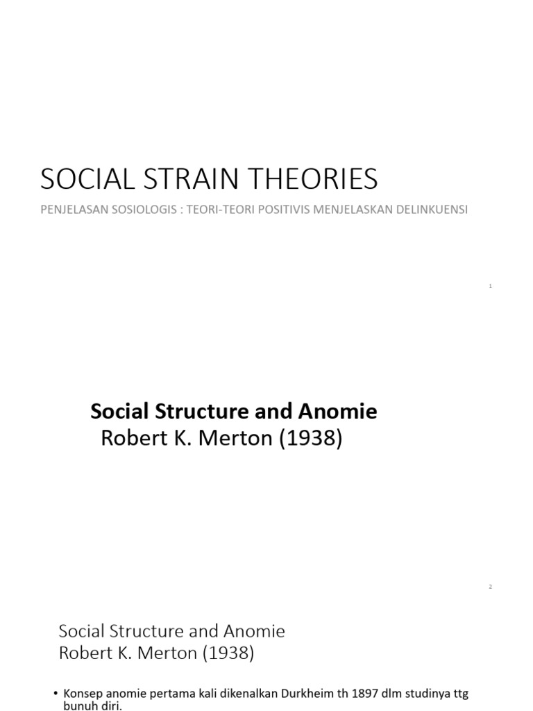 2024-Social Strain - Cultural Transmission - Social Learning - Social ...