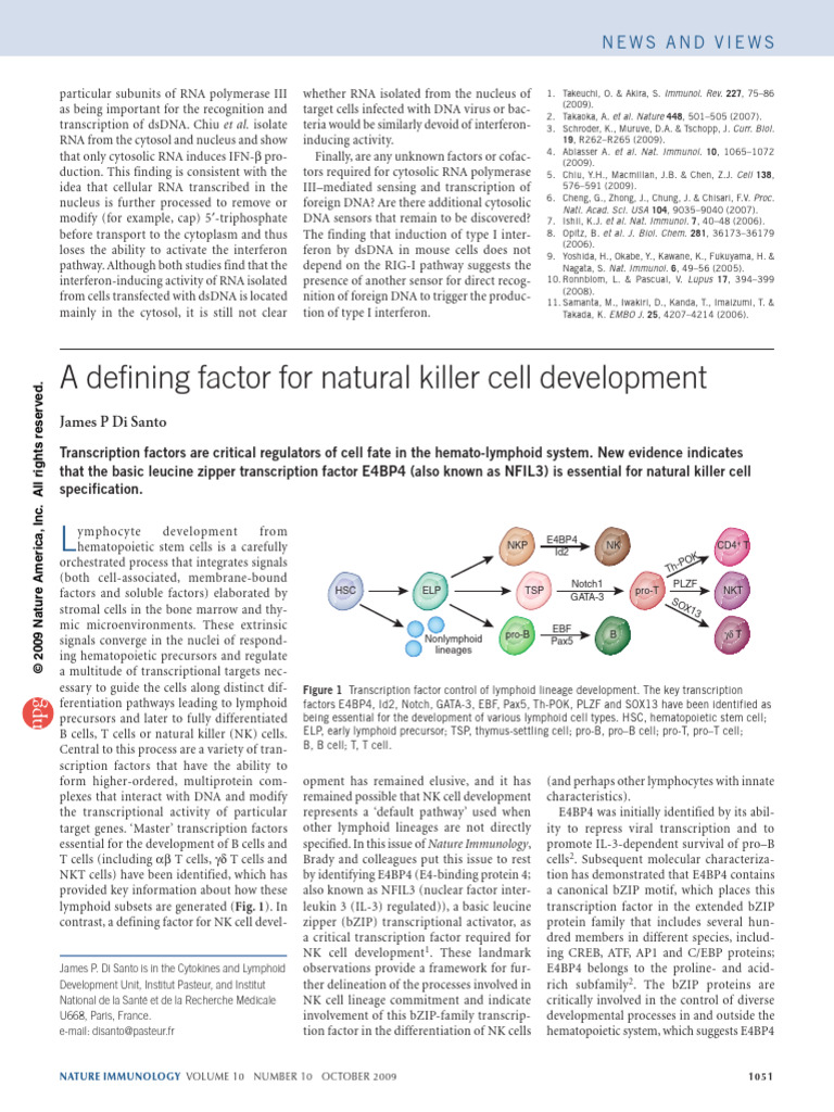 A Defining Factor For Natural Killer Cell Development | PDF | T Cell ...